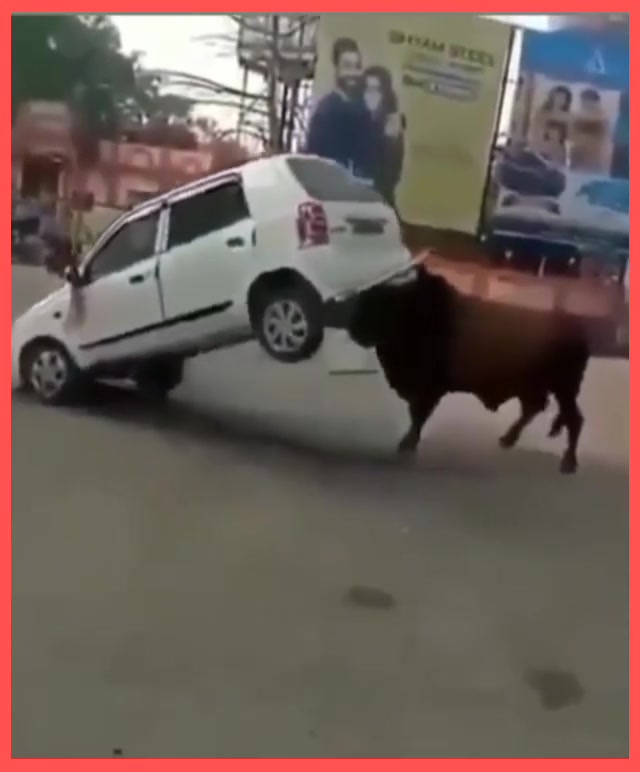 The Bull Lifts The Car Febspot