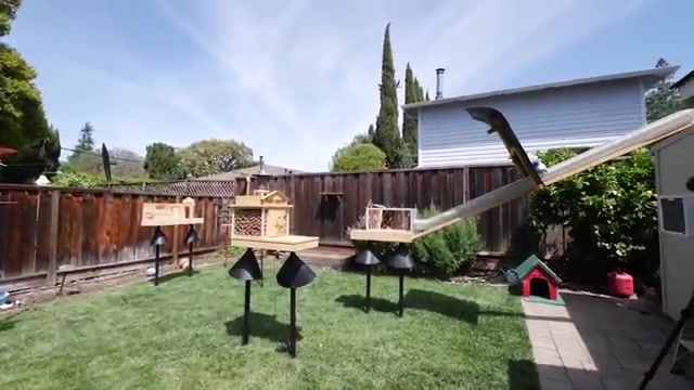 Backyard Squirrel Maze 2.0- The Walnut Heist - Mark Rober - Febspot