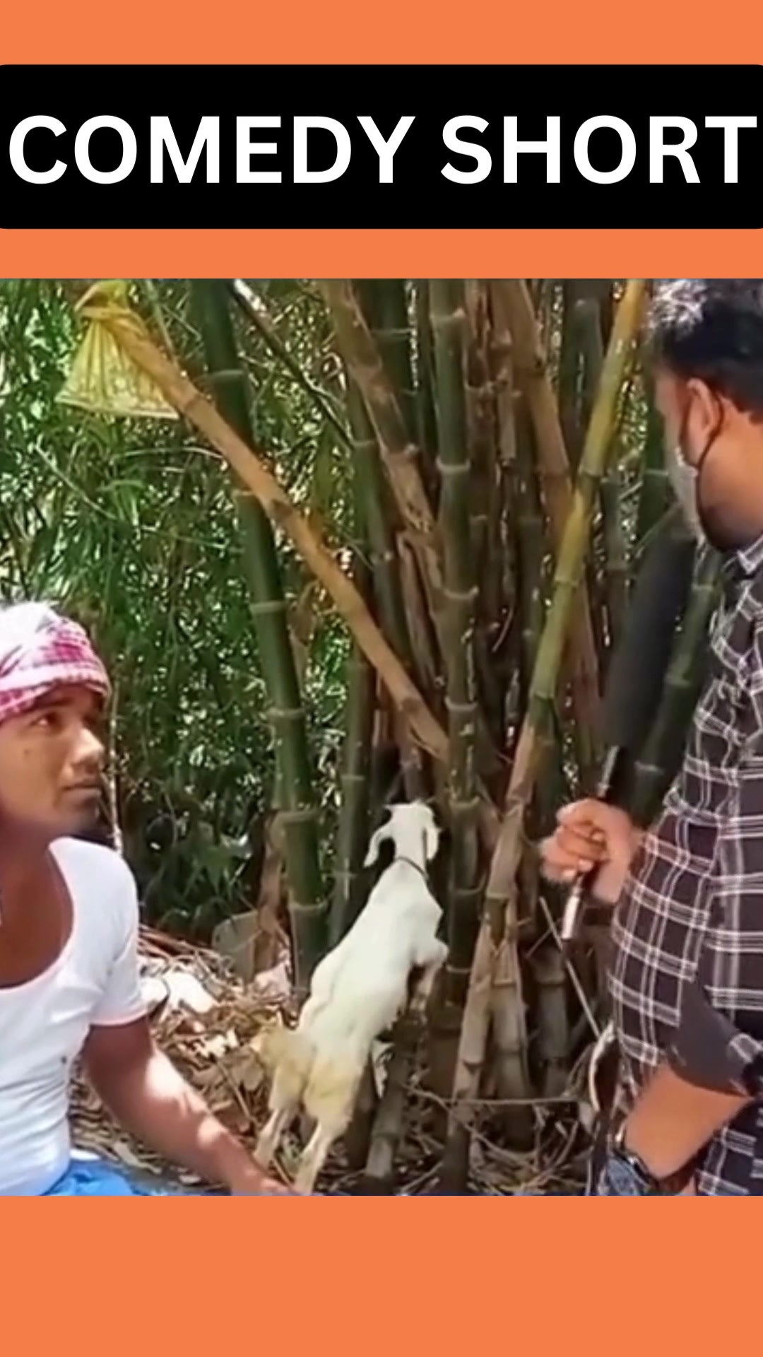 # funny shorts # viral # comedy shorts. #, # comedy clips by qurashi on Febspot