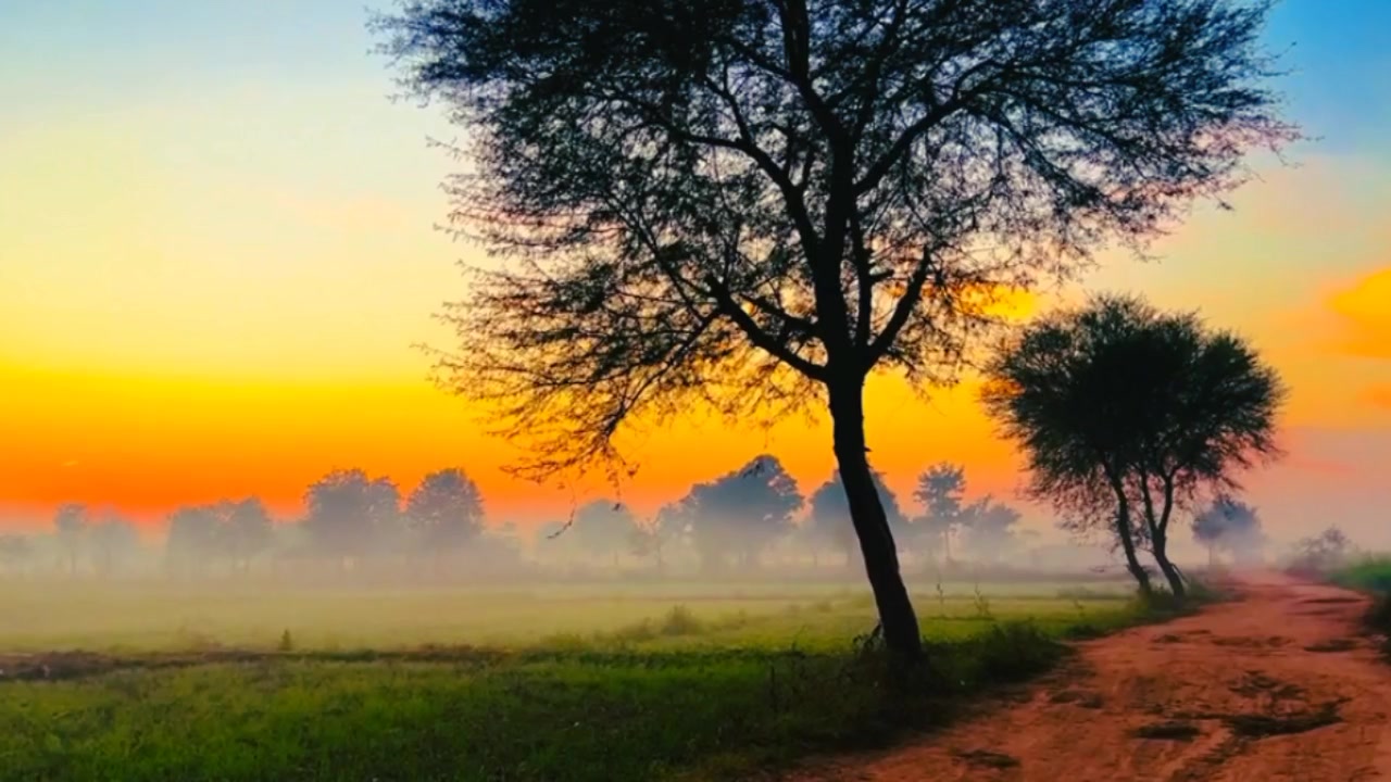 Evening Beauty of Nature | 4K Nature | Beautiful Sun View | Febspot ...