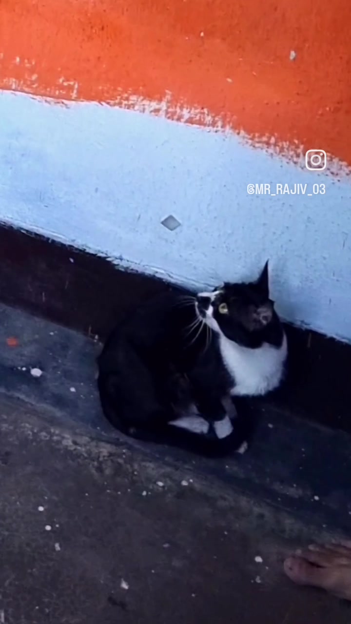 Home made paper flying object - Febspot