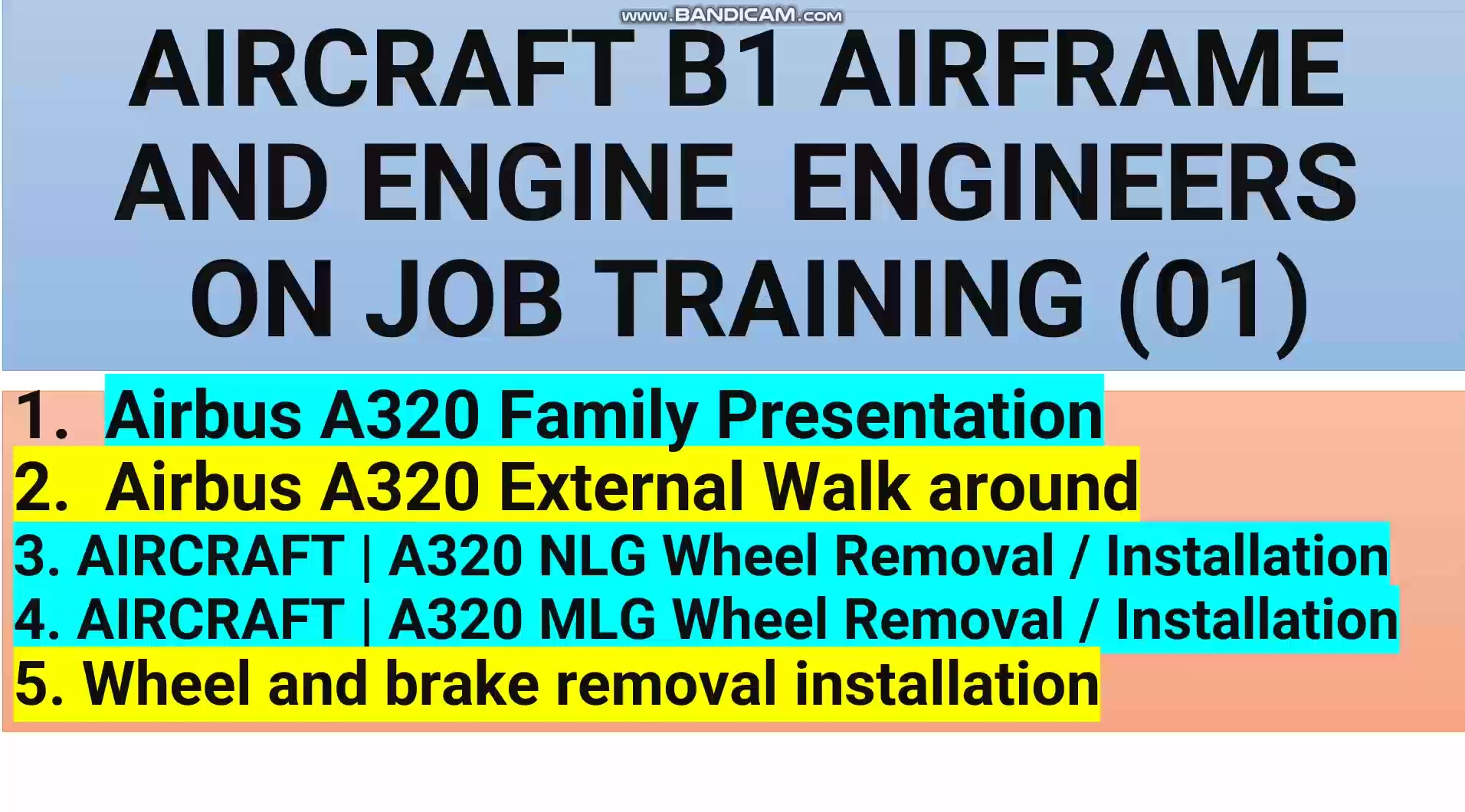 AIRCRAFT A320 B1 AIRFRAME AND ENGINE ENGINEERS ON JOB TRAINING_01 by ...