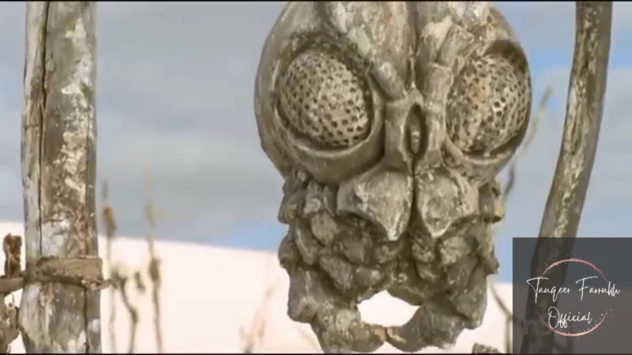 The Bone Snatcher (2003) l Bone Snatcher - Febspot